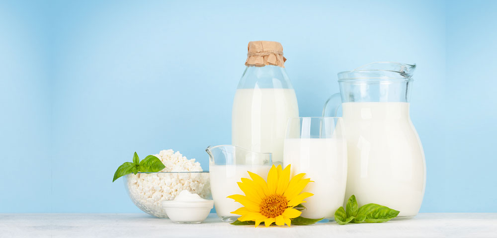 Welcome To PIL Group of Companies :: Your Partner in Success